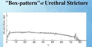 Urethrotomy / Urethroplasty | Chin Chong Min Urology & Robotic Surgery ...